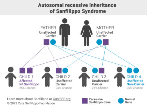 What Causes Sanfilippo Syndrome | Cure Sanfilippo Foundation
